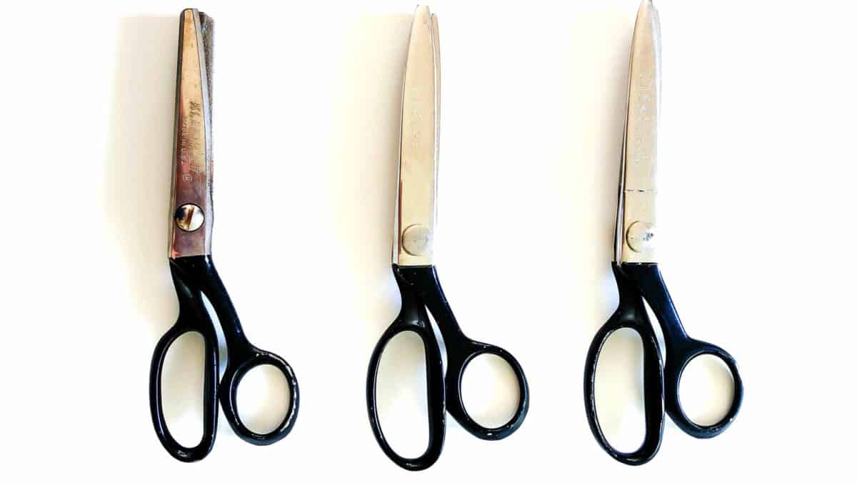 All About Scissors & Cutters: Companions for Precision Cuts